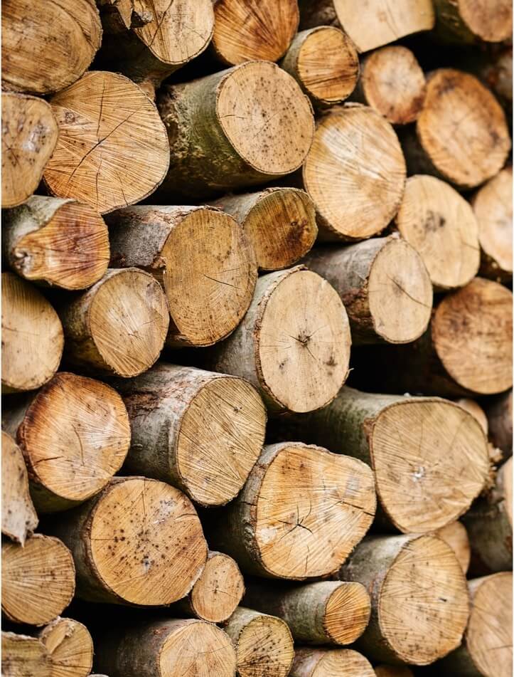 Timber Service - Forest Economic Advisors, LLC