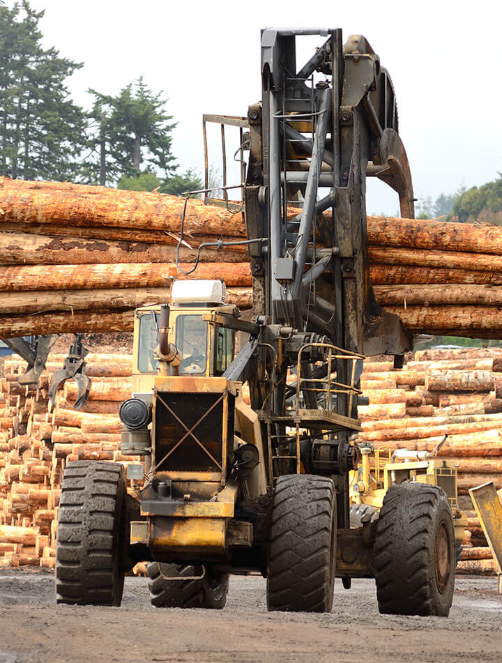 Timber Supply Dynamics in the US South - Forest Economic Advisors, LLC